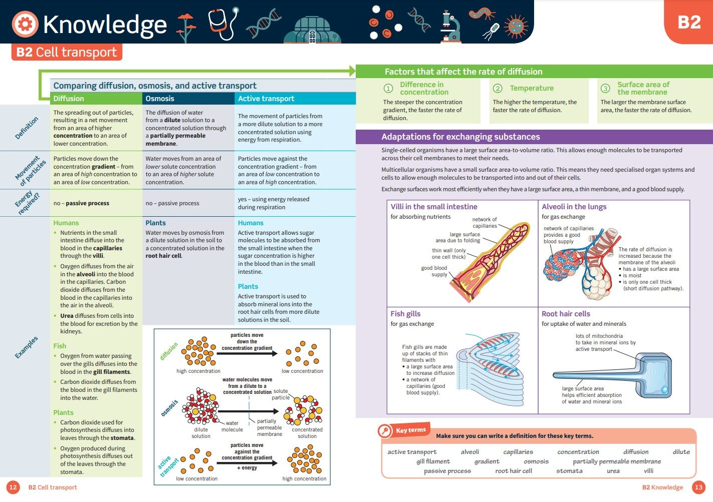 AQA GCSE Combined Science: Trilogy Higher