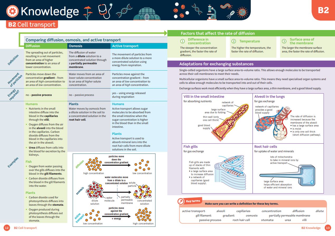 AQA GCSE Combined Science: Trilogy Foundation